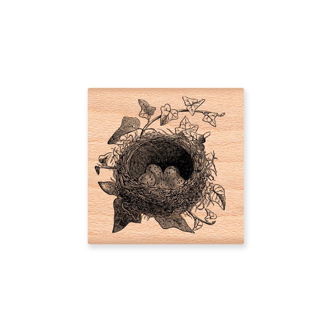 BIRD NEST STAMP Birds Nest Baby Birds Twig Nest With Ivy Leaves Eggs in ...