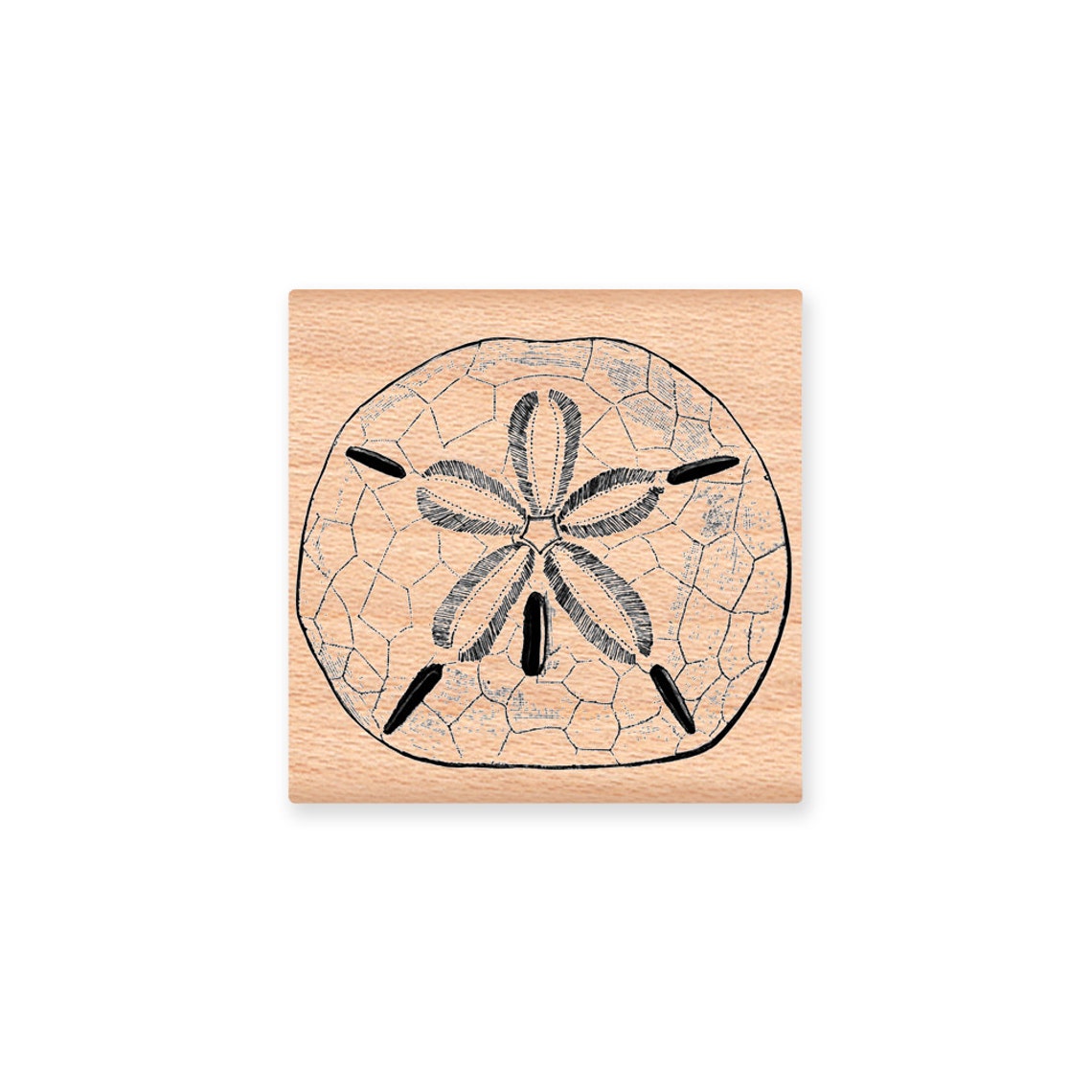 SAND DOLLAR Rubber Stamptwo Sizes Large or Smalldiy Ocean - Etsy