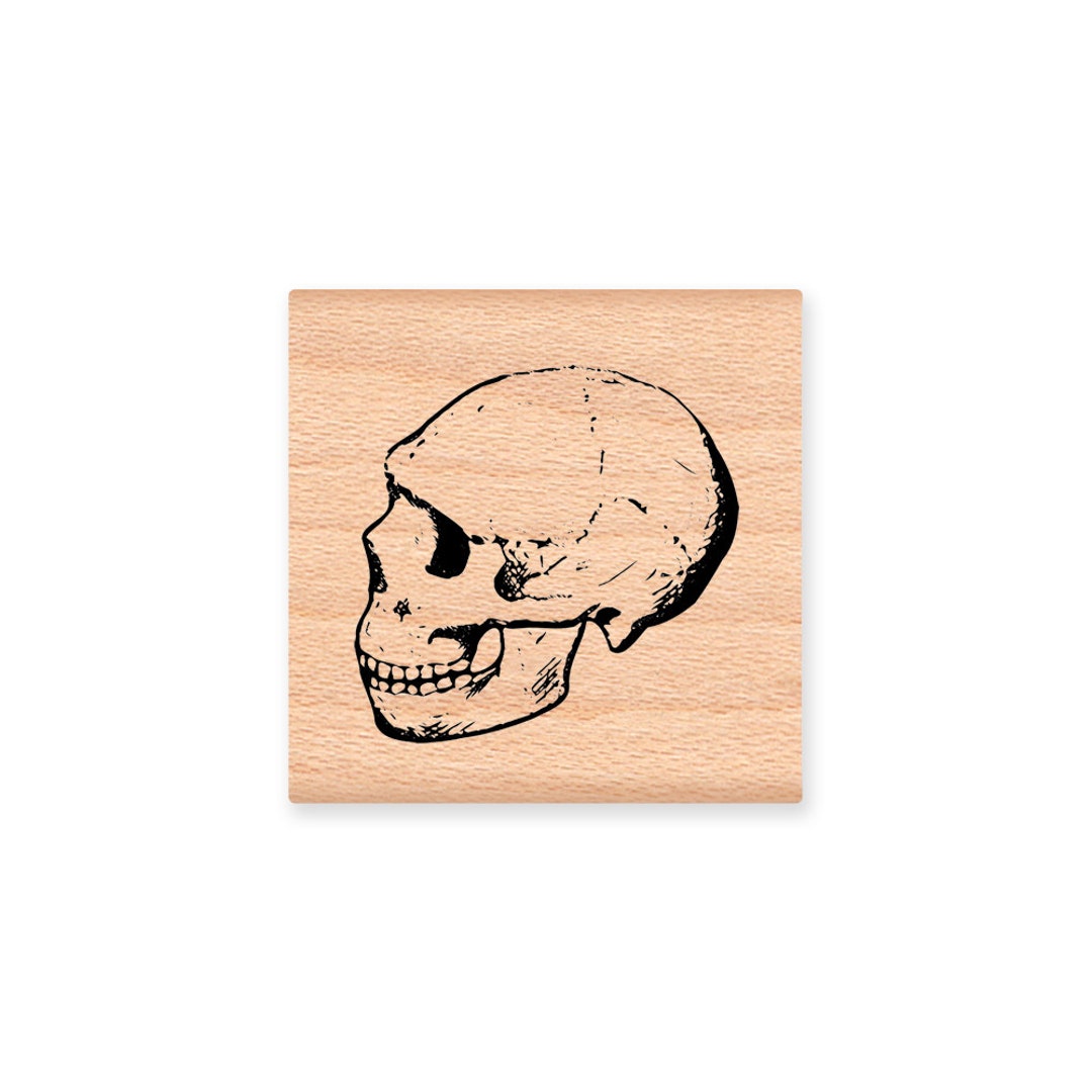 HUMAN SKULL Rubber Stamp~ Halloween Party Stamp Skeleton Head Science ...