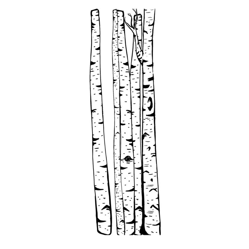 Birch Tree Rubber Stamp~large Birch Tree~two Styles~unmounted Cling ...