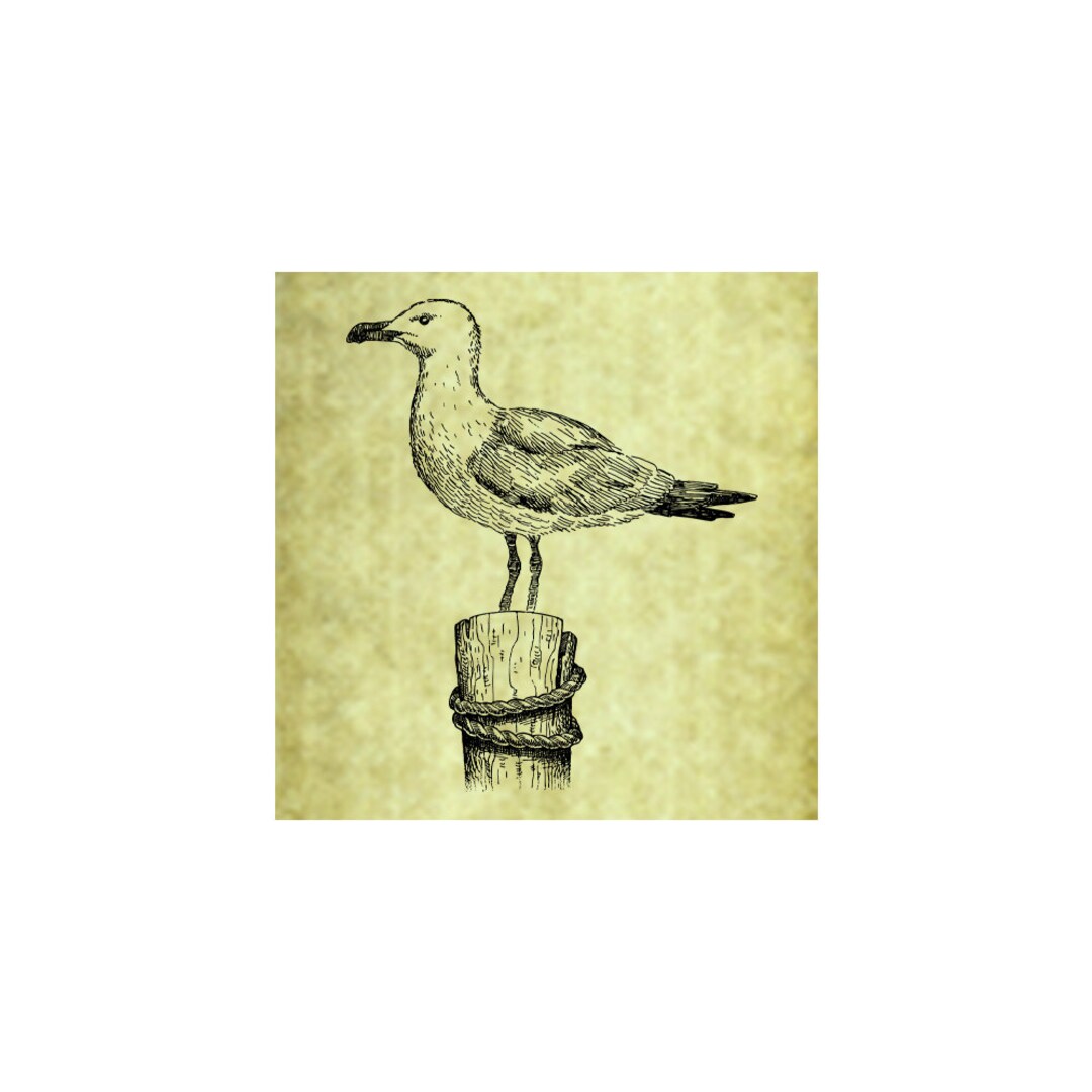 SEA GULL Rubber Stamp~gulls~gull on Wood Post~beach Stamps~ocean ...