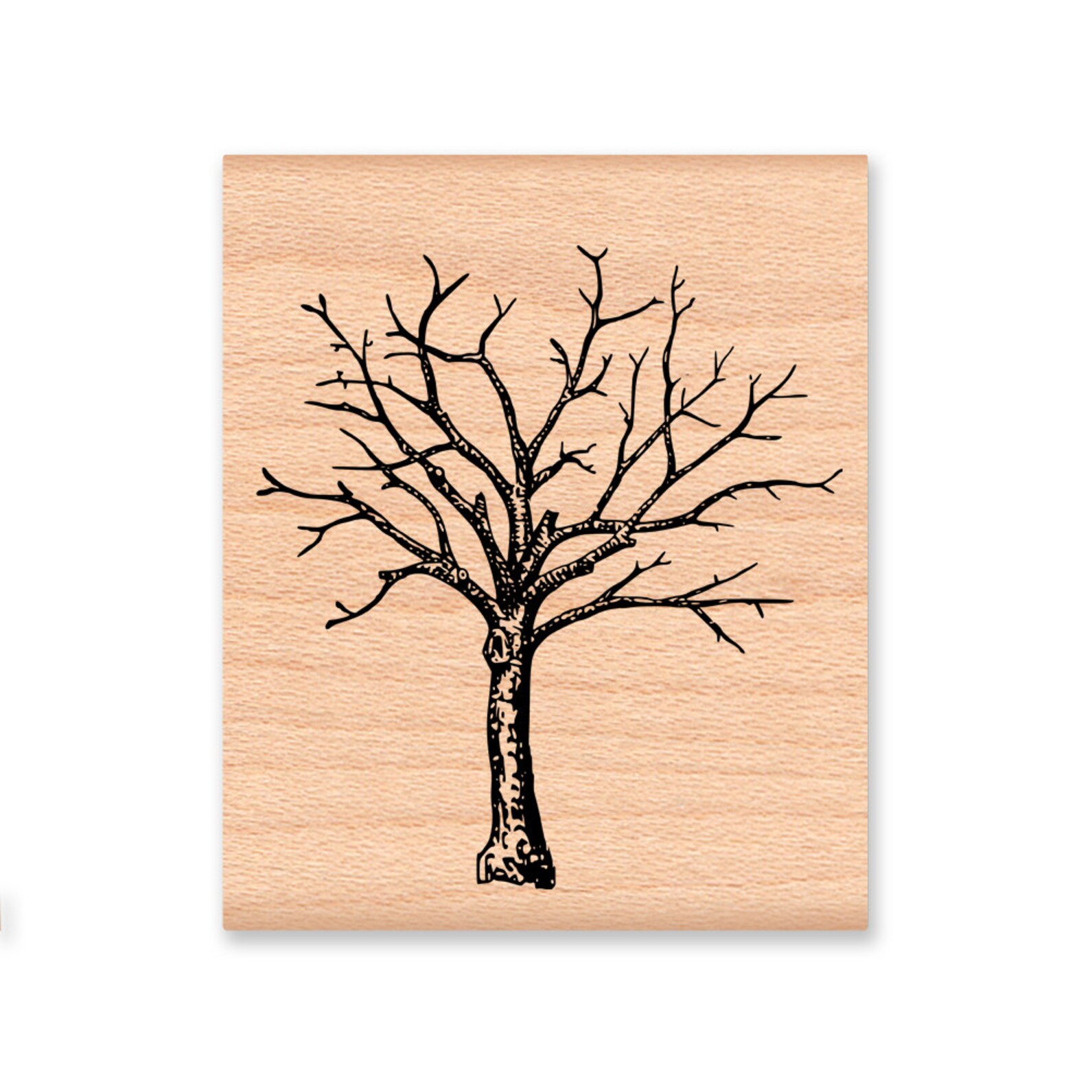 BARE TREE Rubber Stampperfect Tree Stamp for Autumn and Fall - Etsy