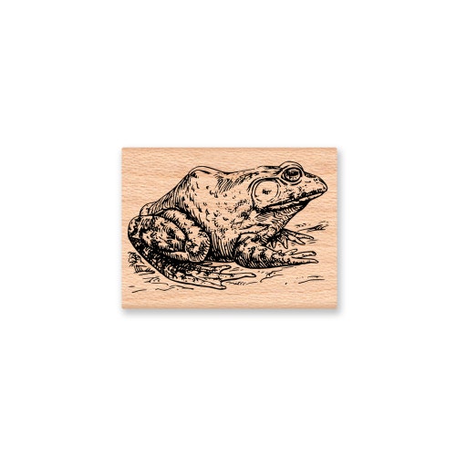TOAD Stampfrog Rubber Stamp Pond or Lake Life Animal - Etsy