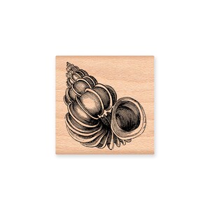 SEA SHELL STAMPS Set of 4 Stamps Shells Set of 4 Different Ocean Shells ...
