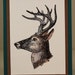 VINTAGE BUCK Rubber Stamp~deer Stag With Antlers~rustic Sketch ...
