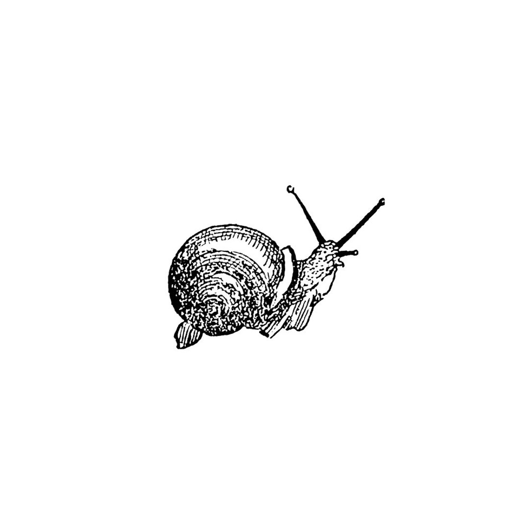 SNAIL Rubber Stamp~two Sizes Available~unmounted Cling Stamp (47-04 Lg ...