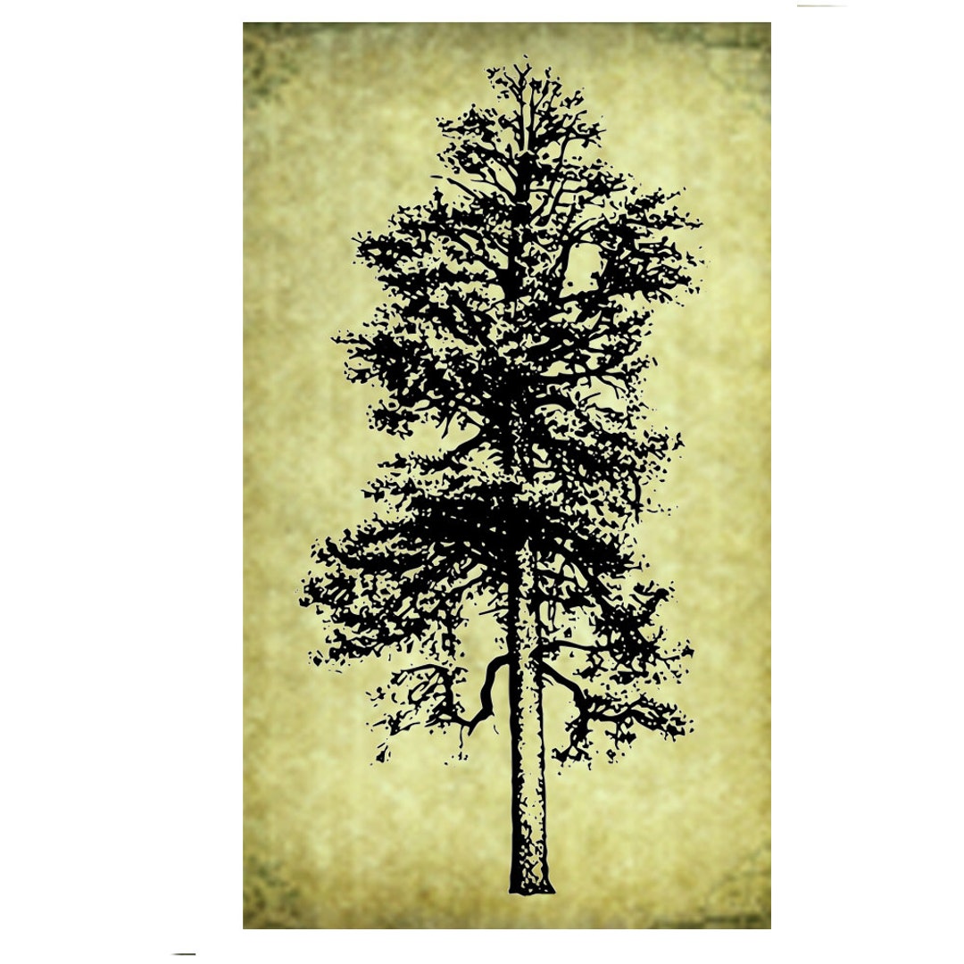 PINE TREE Rubber Stamp~unmounted Cling Stamp~landscape Stamp~rustic ...