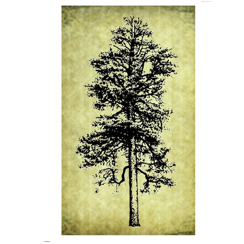 Pine Tree Stamp - Etsy