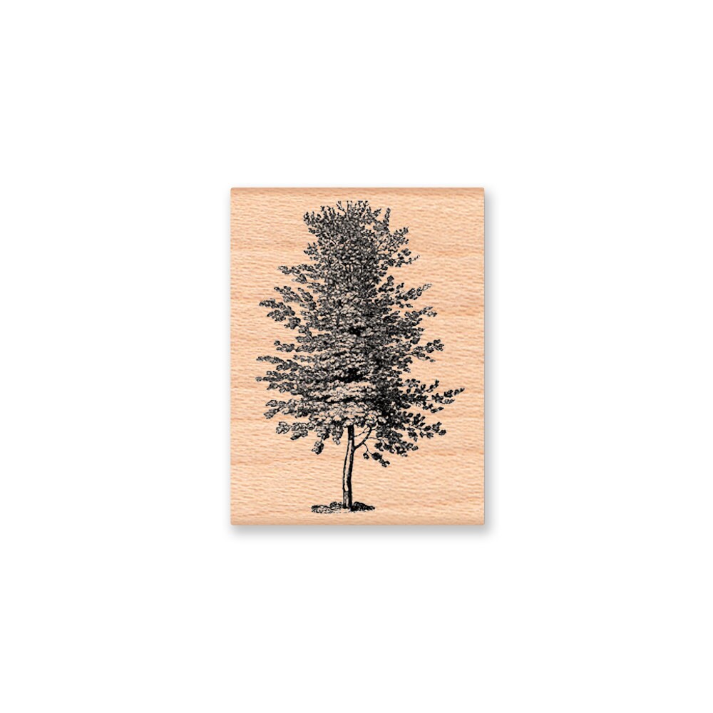 MAPLE Treerubber Stampfall or Autumn Treelandscape - Etsy