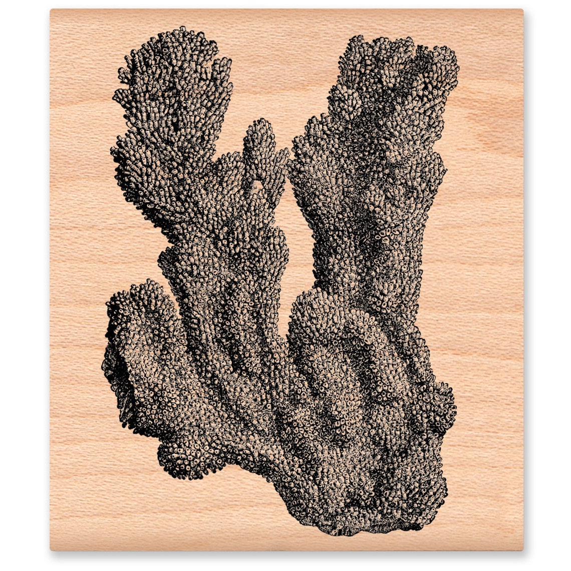 FAN CORAL Rubber Stampreef Coral Rubber Stamptwo | Etsy