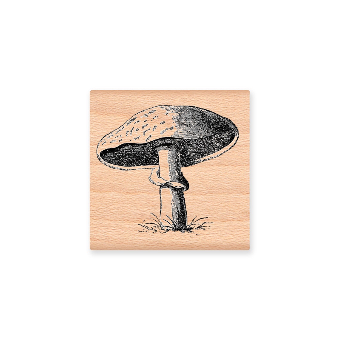 MUSHROOM STAMP Forest Toadstool Woodland Wild Mushroom - Etsy