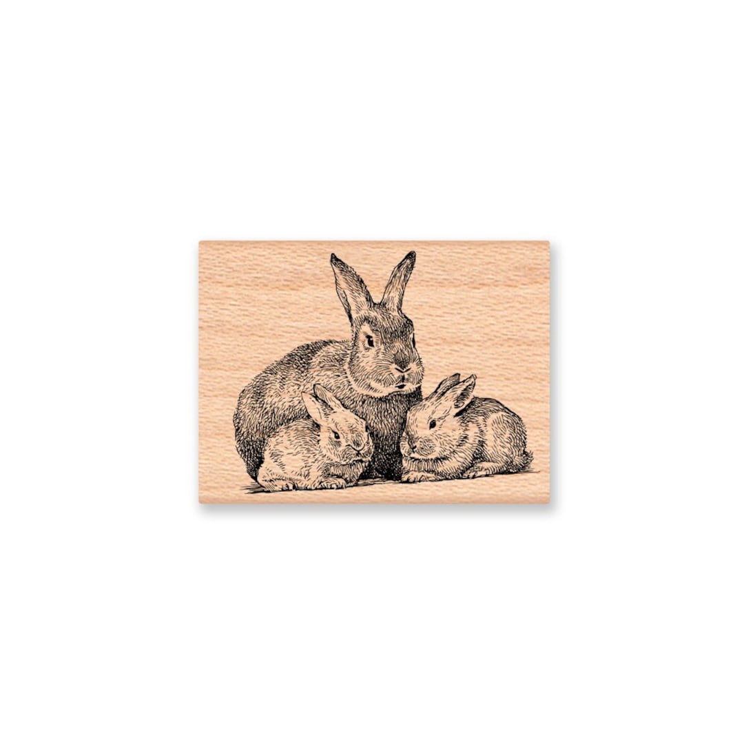 Rabbit Rubber Stamp Rabbits Easter Spring Bunny Bunnies Mommy New Baby ...