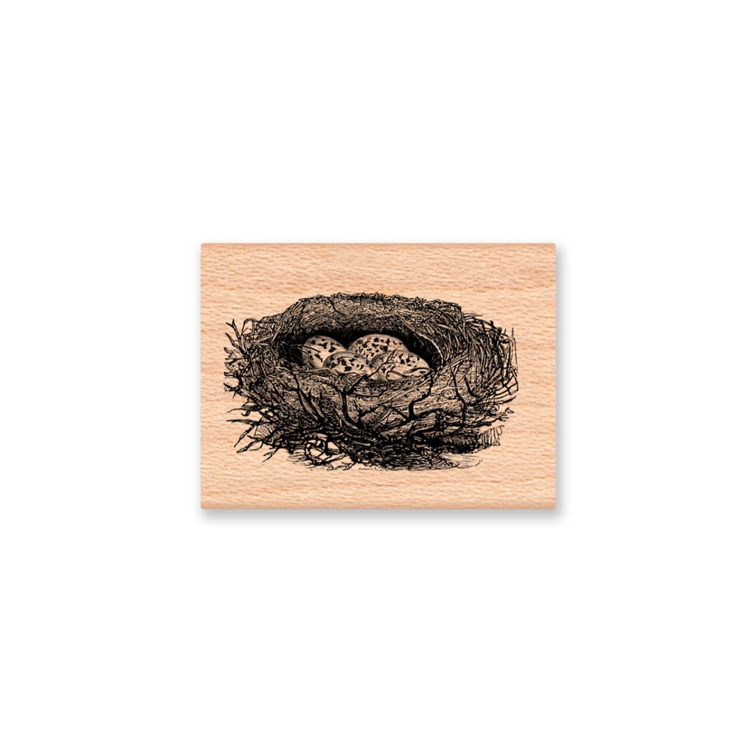 BIRD NEST Rubber Stamp~two Styles~birds Nests~robin Nest~bird Eggs~baby ...