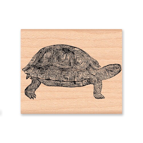 Turtle Rubber Stamp - Etsy