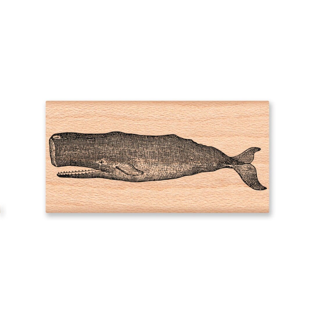 WHALE RUBBER STAMP ~moby Dick Tale Story~sperm Whale~large Stamp~ocean ...