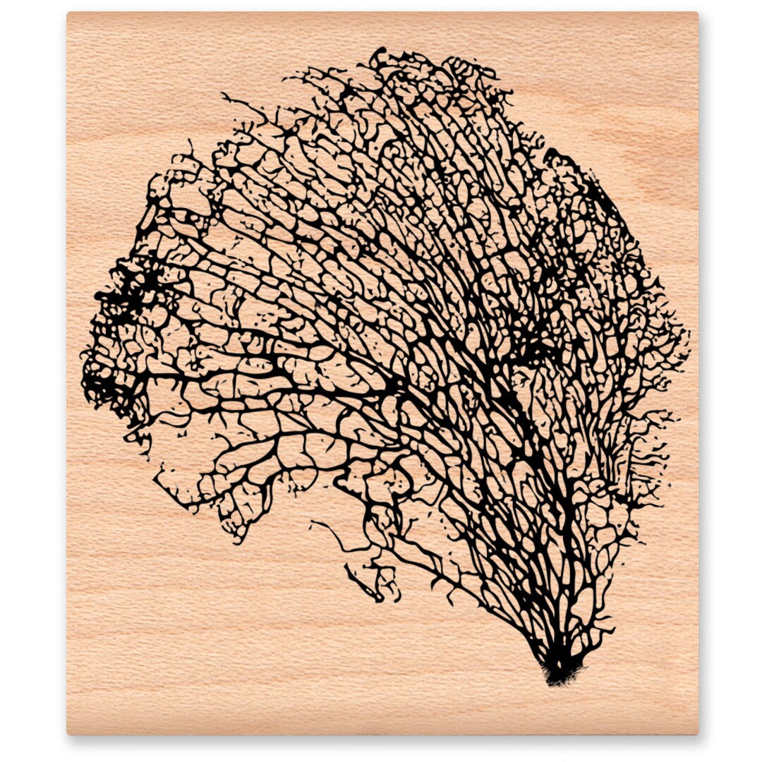 FAN CORAL Rubber Stamp~reef Coral Rubber Stamp~two Styles~ocean Sea ...