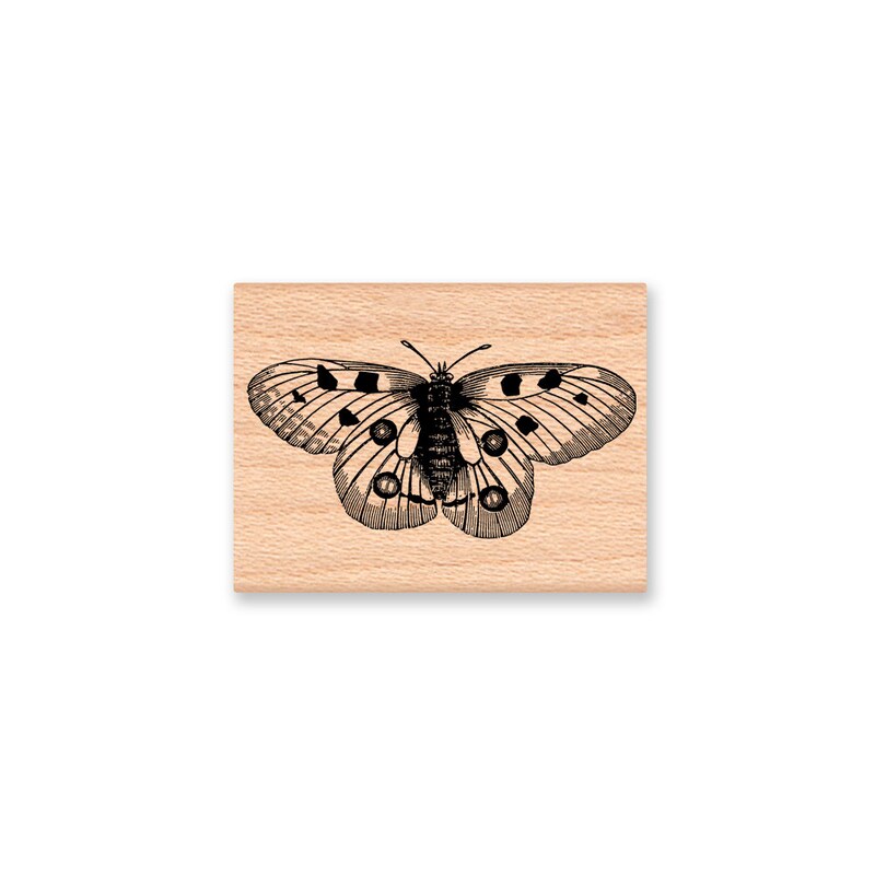 Moth Rubber Stamp - Etsy