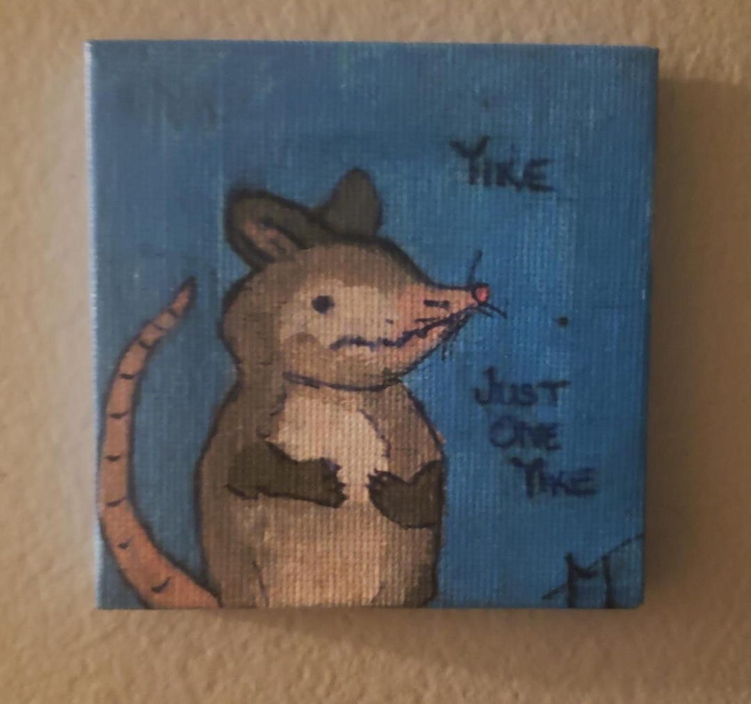 Mini Canvas Memes - Etsy