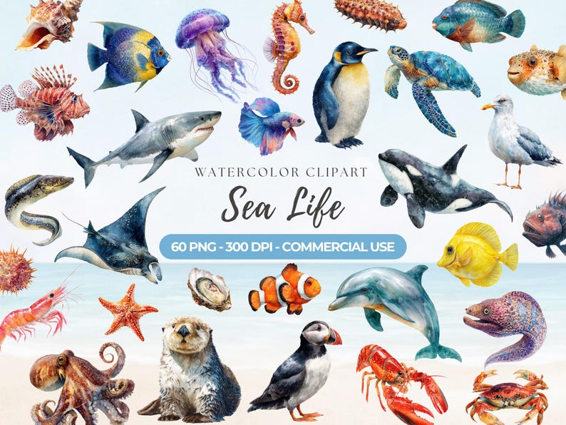 Realistic Sea Animals Clipart, Watercolor Ocean Life PNG, Marine ...