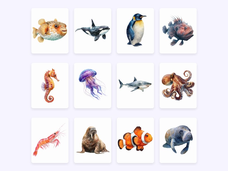 Realistic Sea Animals Clipart, Watercolor Ocean Life PNG, Marine ...