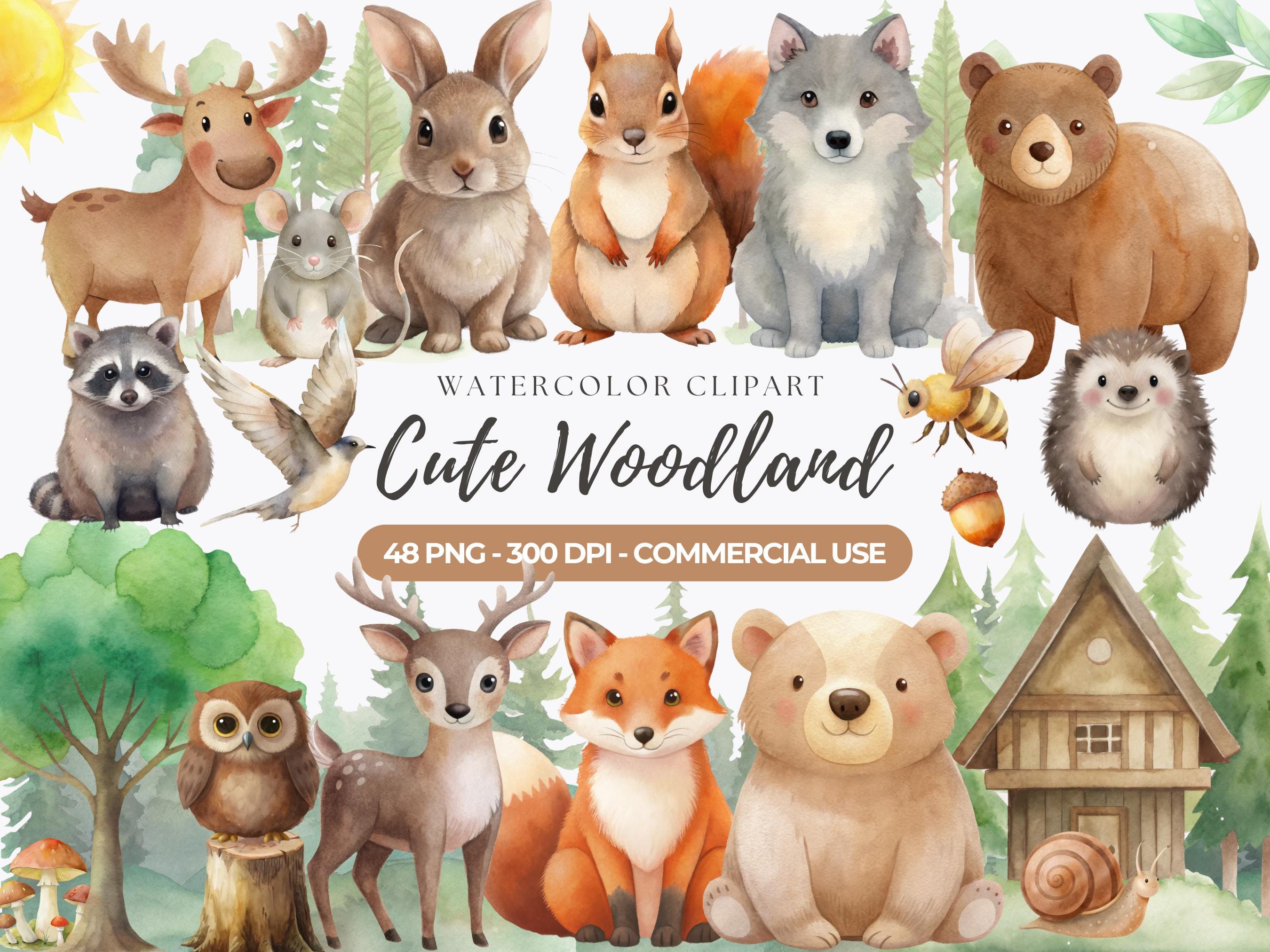Watercolor Woodland Animals Clipart, Nursery Decor (PNG, Commercial Use ...