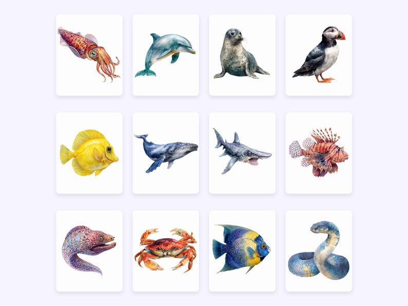Realistic Sea Animals Clipart, Watercolor Ocean Life PNG, Marine ...