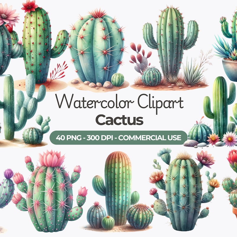 Water Color Cactus - Etsy