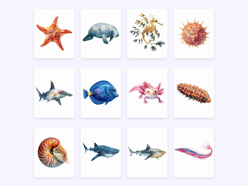 Realistic Sea Animals Clipart, Watercolor Ocean Life PNG, Marine ...