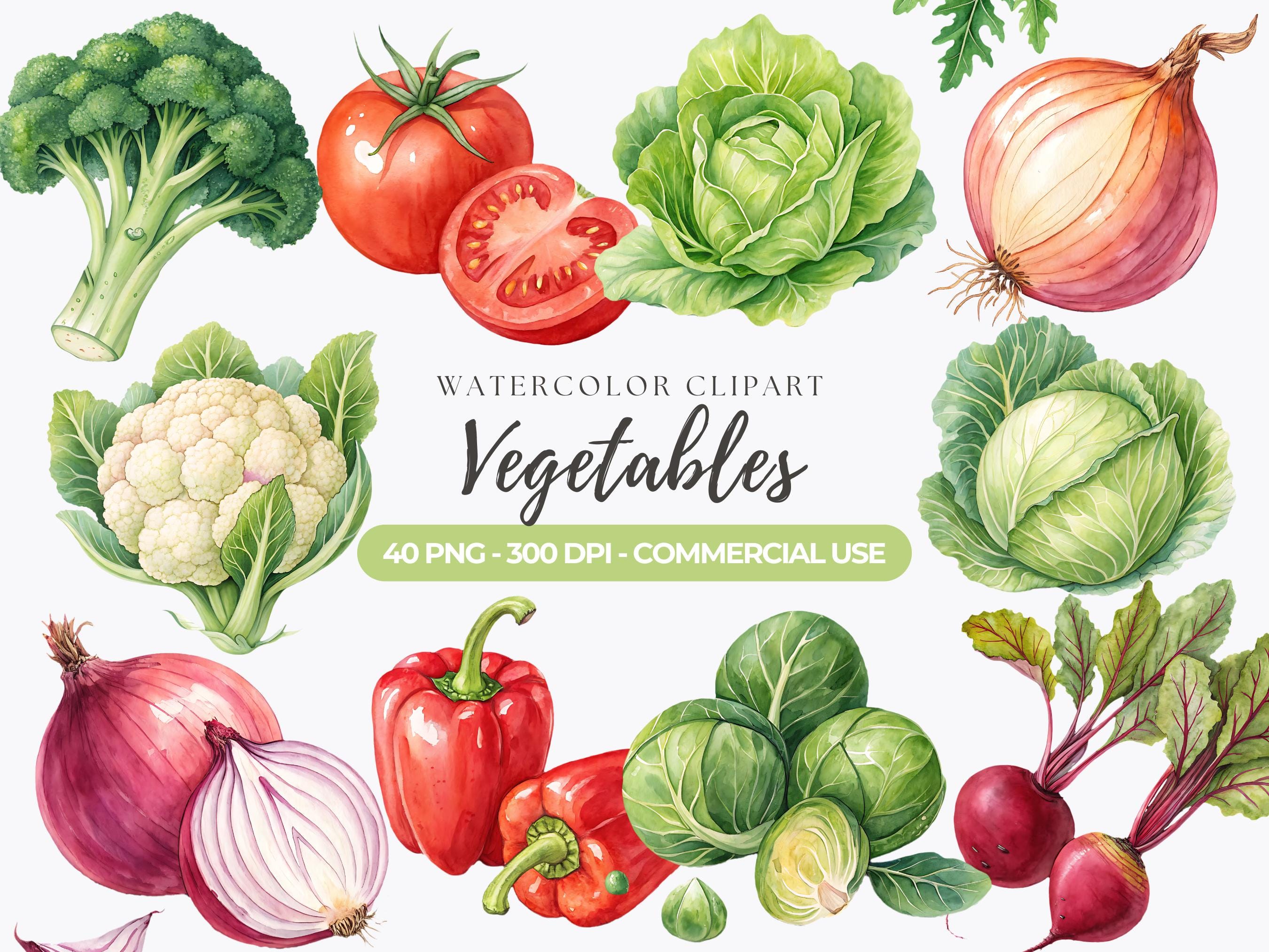 Watercolor Vegetables Clipart, Healthy Food PNG, Veggie Clipart, Farm ...