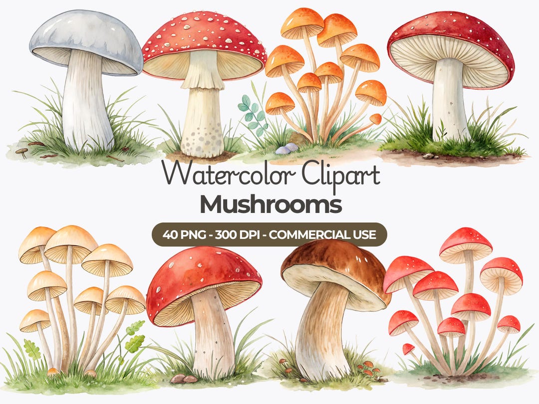 Watercolor Mushrooms Clipart, Woodland Mushroom PNG, Magic Mushrooms ...