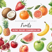 Fruit Clipart Set, Fruits- 34 PNG, 300 DPI, Without Background ...