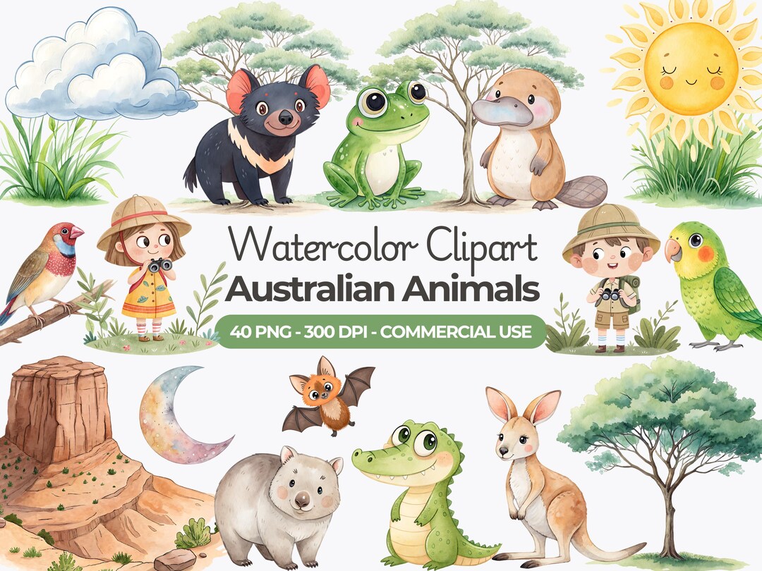 Australian Animals Watercolor Clipart, Aussie Wildlife PNG (commercial ...