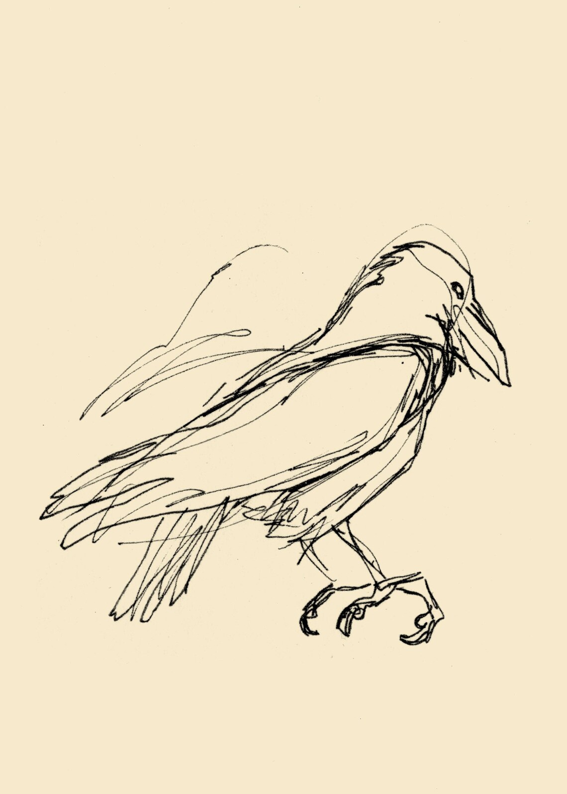 Crow, 7x5” Print of Original Pen and Ink Drawing - Etsy