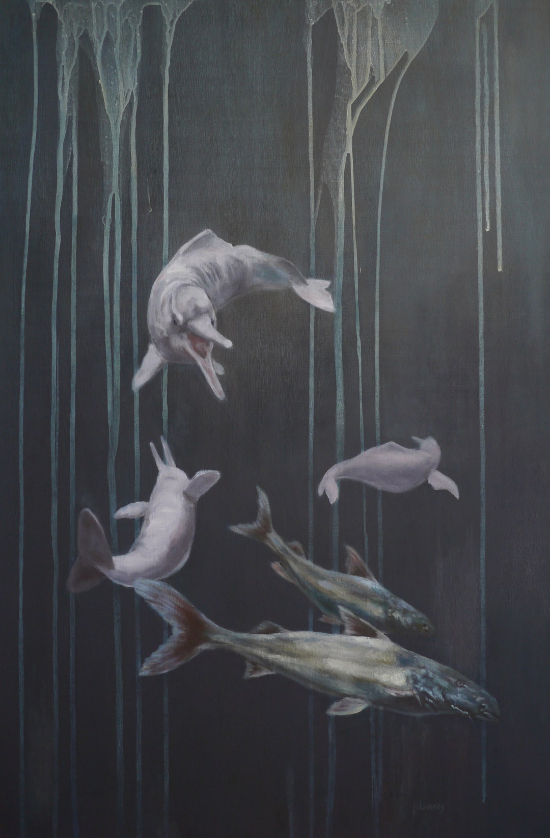 Amazon River Dolphin and Catfish 10x6.5 Print of Oil - Etsy