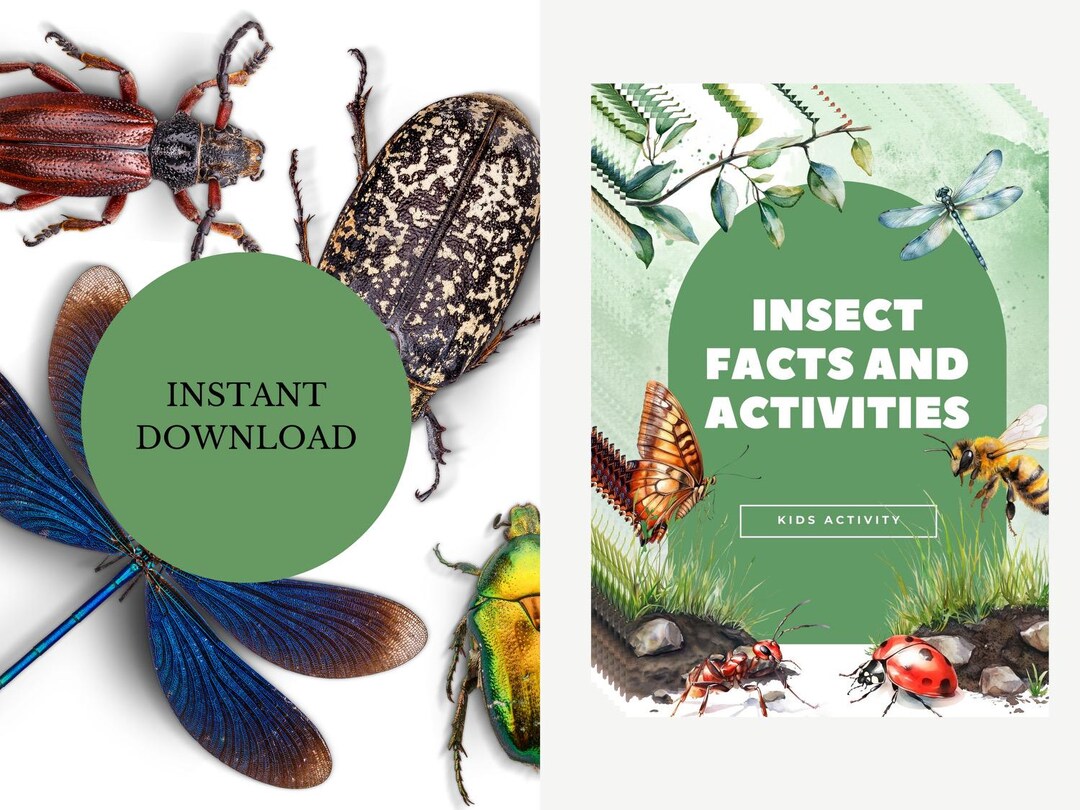 Insect Activity Pack I Learning Game I Printable Insect Activity I ...