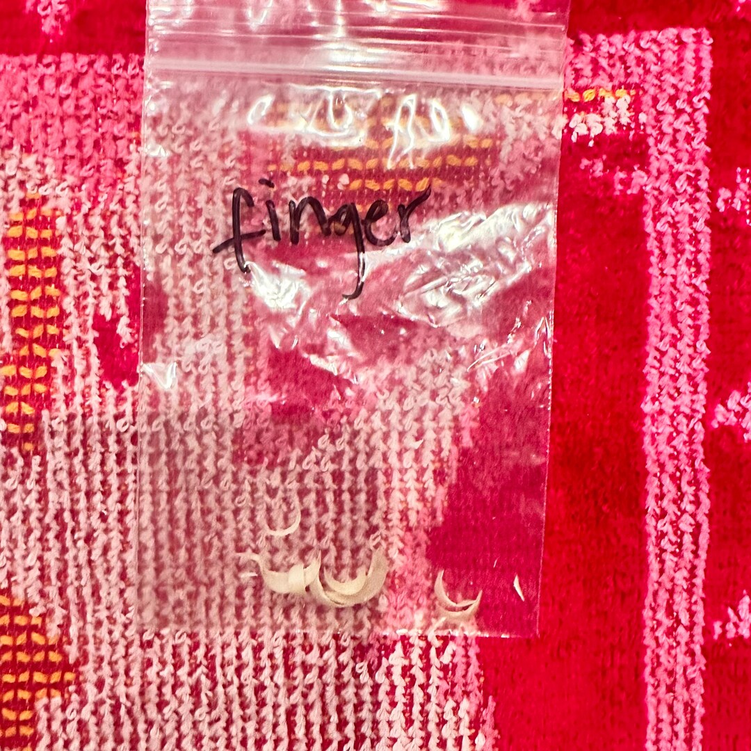 Kts Clipped Fingernails - Etsy