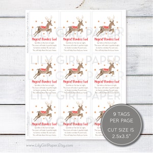 Magical Reindeer Food Tag, INSTANT DOWNLOAD, Kids Activity, Christmas ...