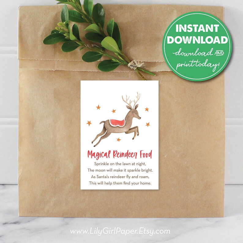 Magical Reindeer Food Tag INSTANT DOWNLOAD Kids Activity - Etsy