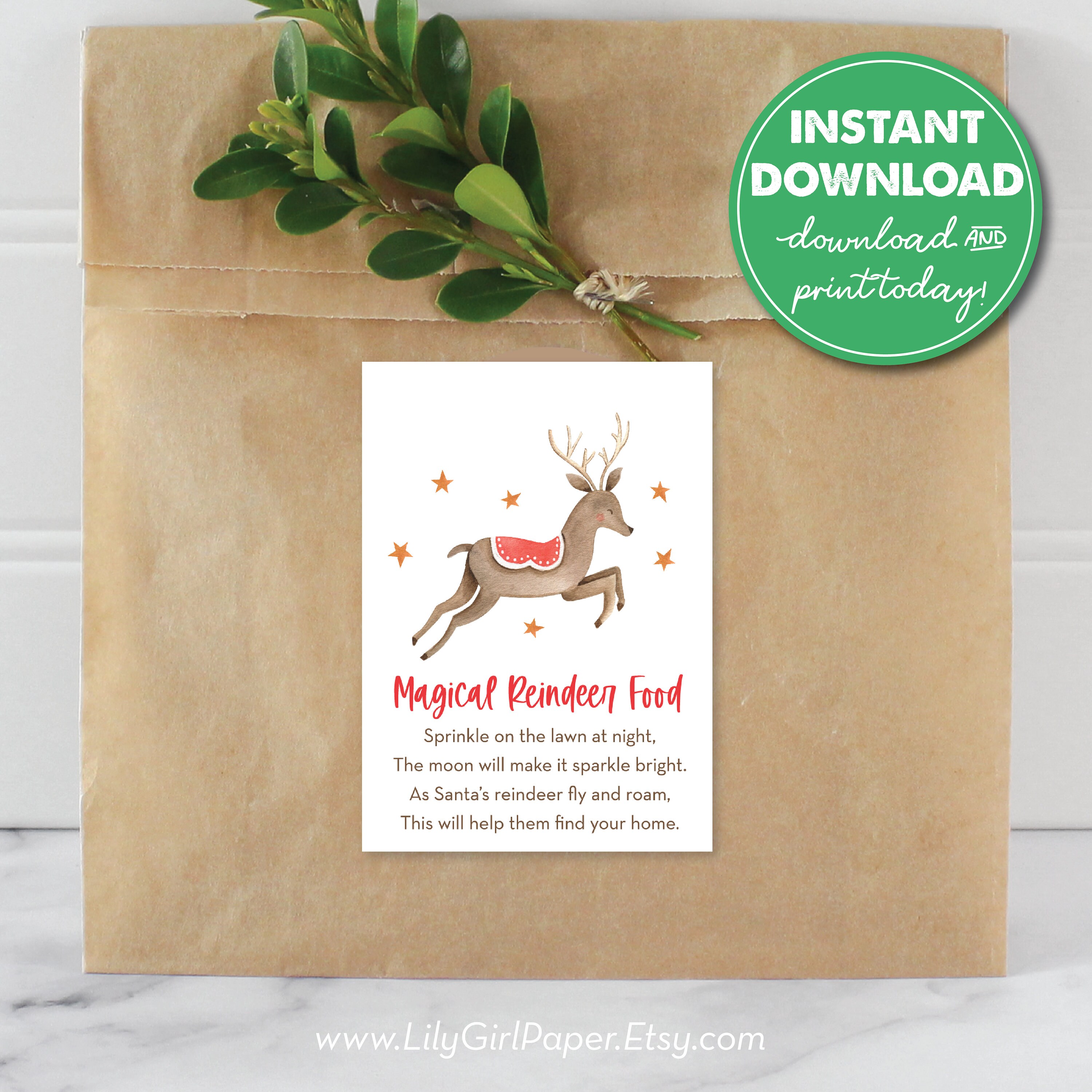 Magical Reindeer Food Tag, INSTANT DOWNLOAD, Kids Activity, Christmas ...