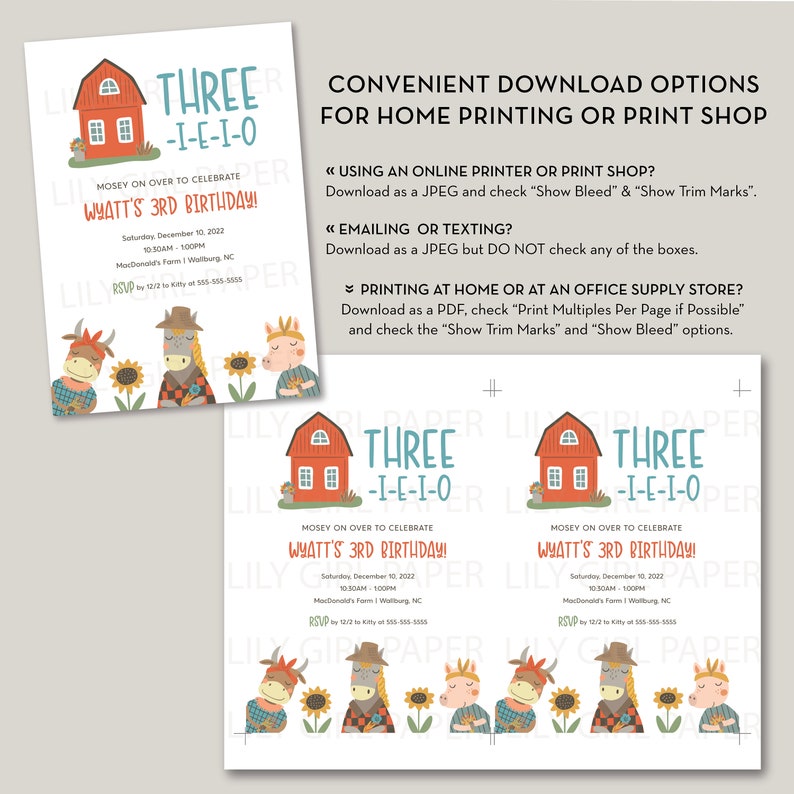 Three-i-e-i-o 3rd Birthday Farm Party Invitation Template - Etsy