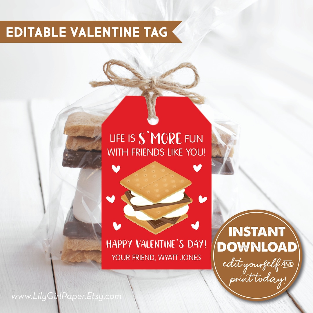 Editable Life is S'more Fun With Friends Like You Valentine Cards ...