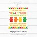 Editable 100th Day of School Bear-y Good Treat Bag Tag, Teacher Gift ...