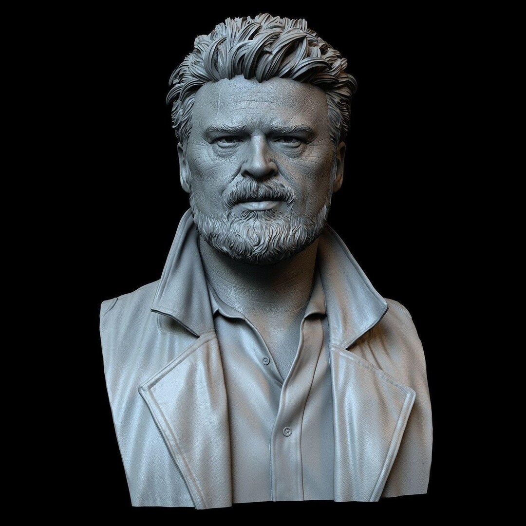 Pedro Pascal Bust, Actor, Sculpture, Bookshelf Decor, Gamer Gift ...
