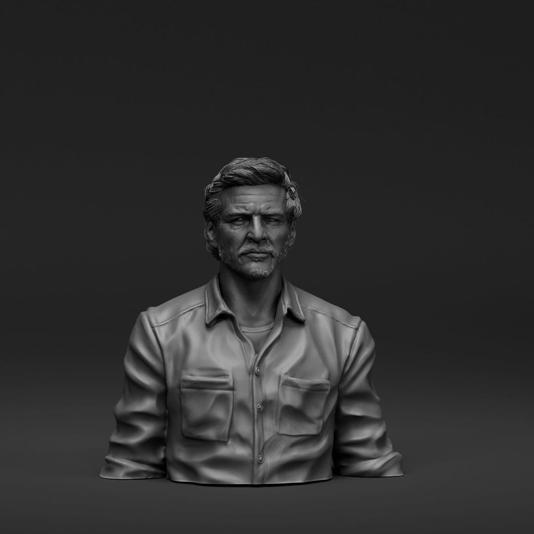 Pedro Pascal Bust, Actor, Sculpture, Bookshelf Decor, Gamer Gift ...