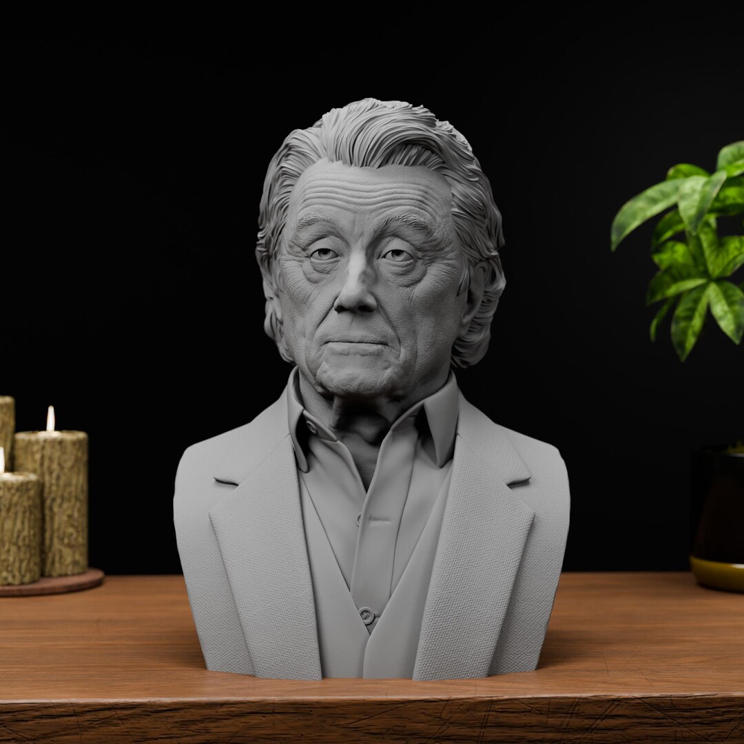 Ian Mcshane Bust, Actor, Sculpture, Bookshelf Decor, Gamer Gift ...