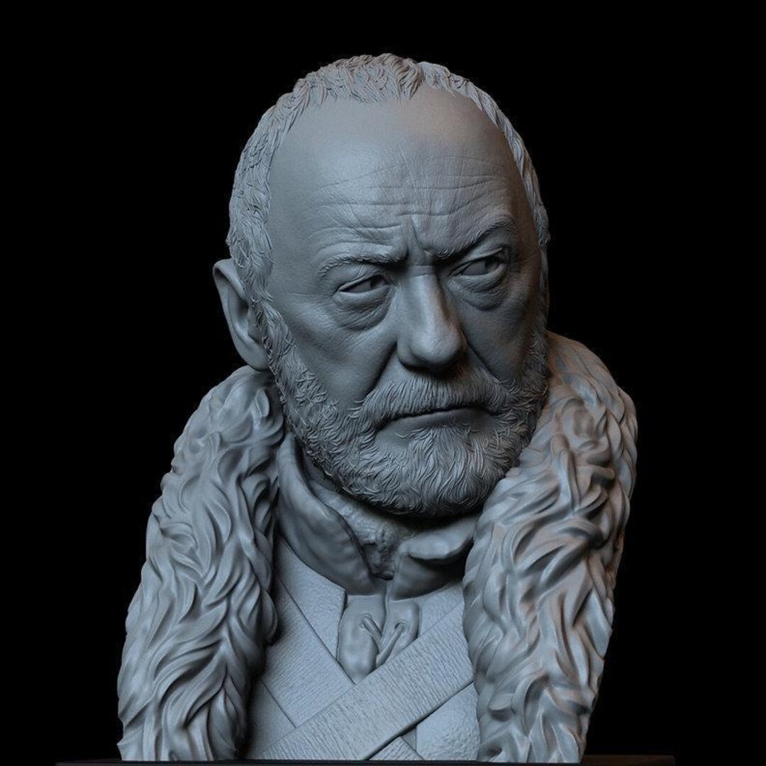Liam Cunningham Bust, Actor, Sculpture, Bookshelf Decor, Gamer Gift ...