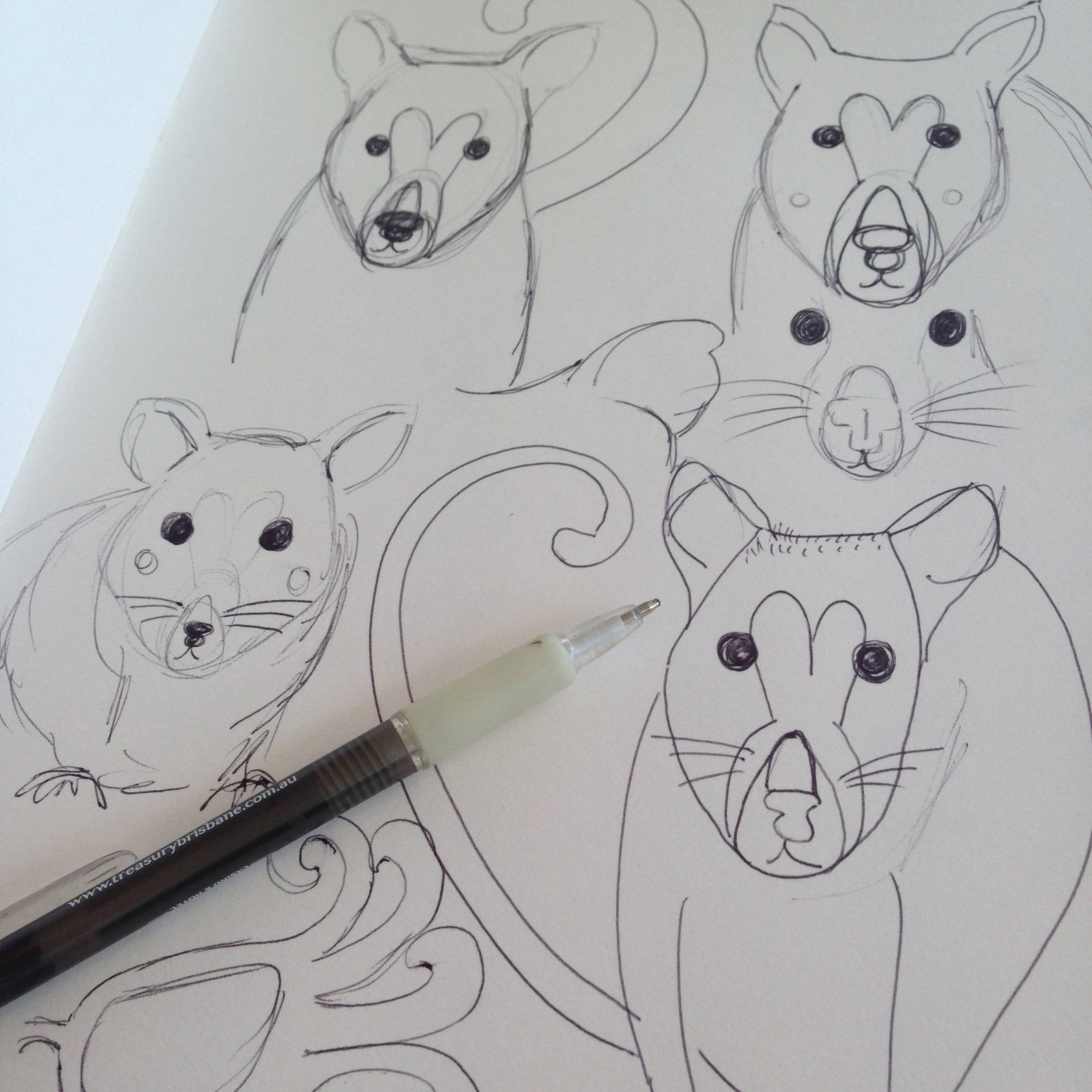 Hello Possum Australian Animal Nursery Art Aussie Brushtail | Etsy