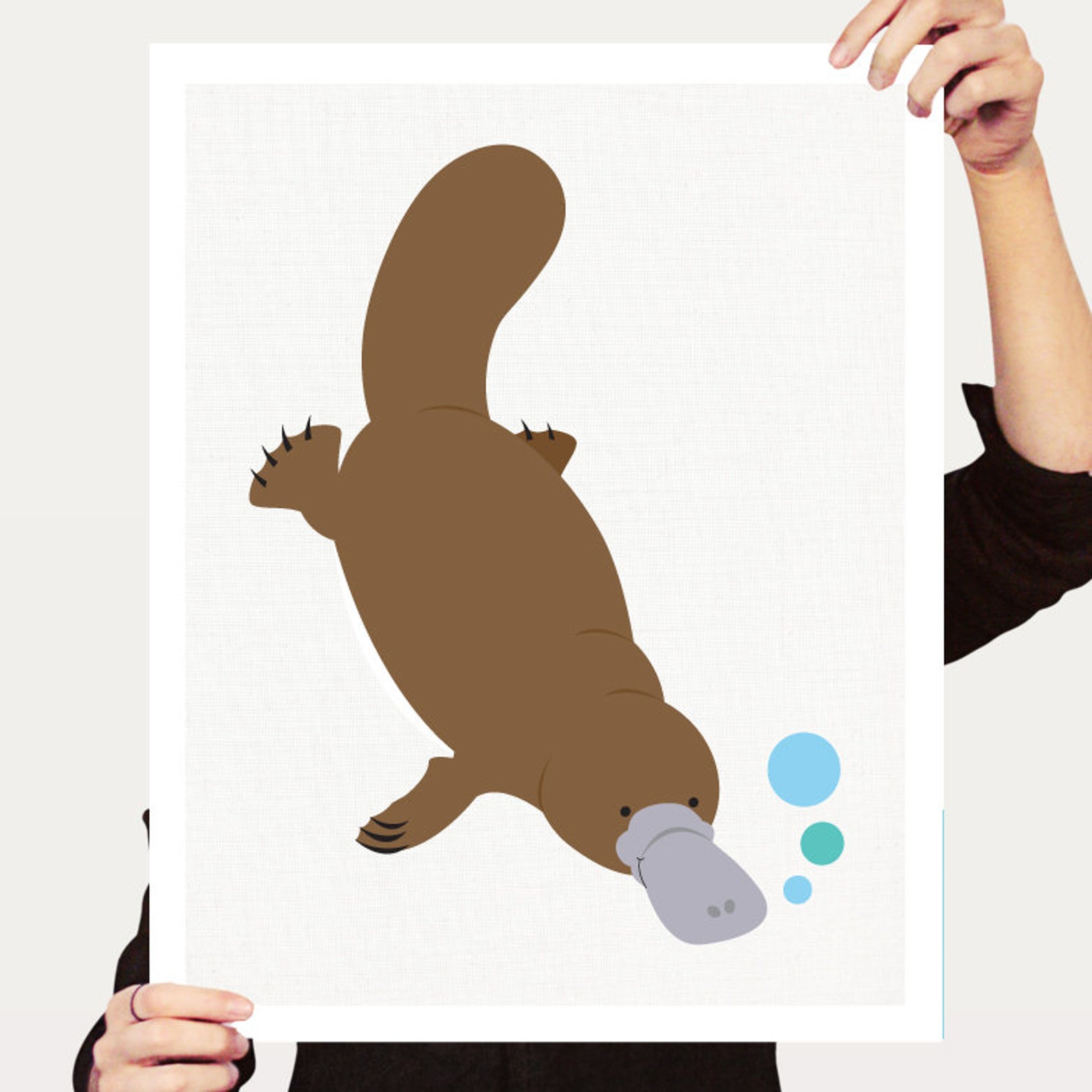 Platypus Print Australian Animal Print Aussie Animal Art - Etsy