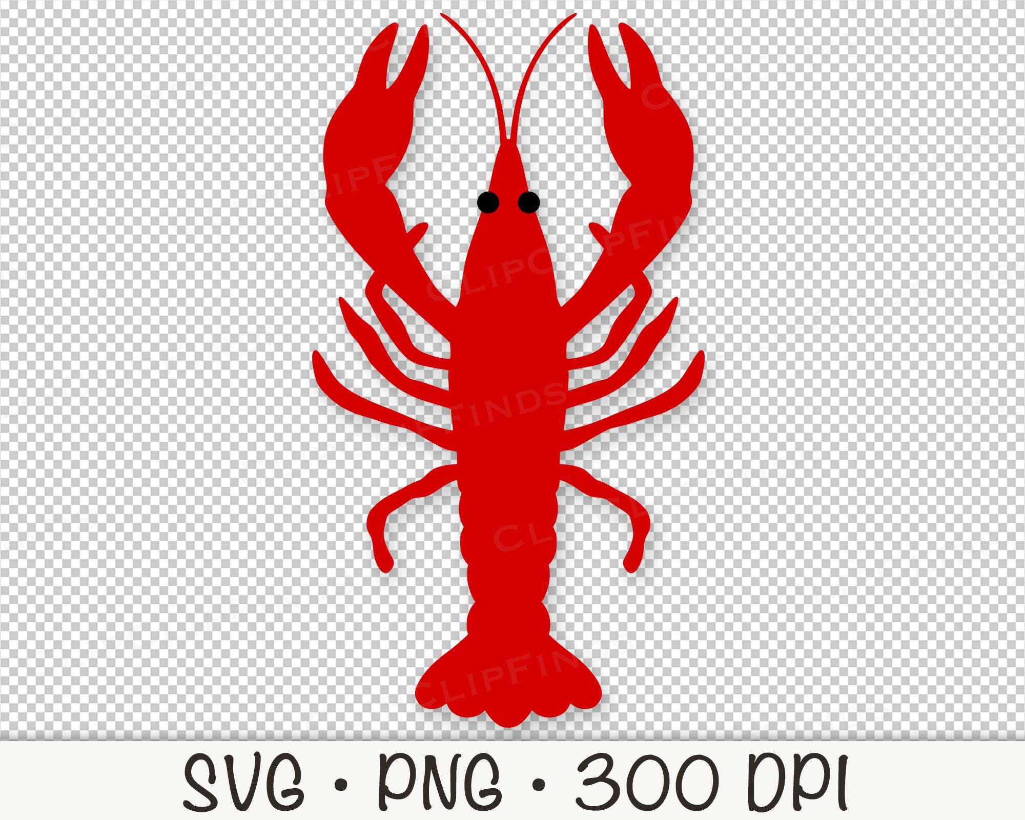 Crawfish SVG, Crawfish Boil, Vector Cut File, Crawfish PNG, Transparent ...
