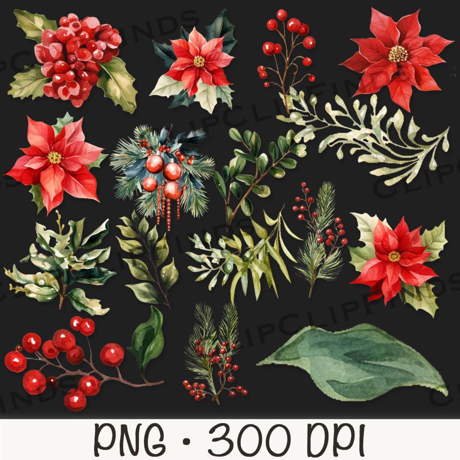 Watercolor Christmas Greenery Florals, Watercolor Poinsettias, Holly ...